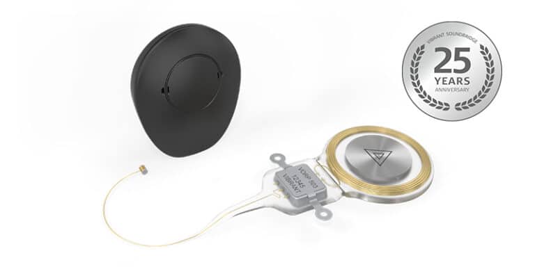 25 Years of VIBRANT SOUNDBRIDGE: A Success Story - MED-EL Professionals ...