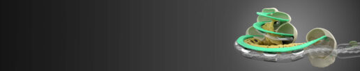 Assessing Auditory Development Just Got Easier With LEAQ & ReDi - MED ...